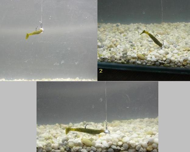 Prezentarea jigului - articol despre pescuit